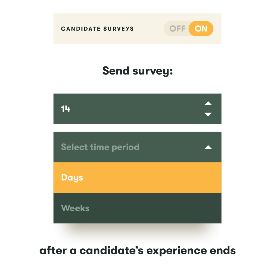 Candidate Experience Survey Software | Pinpoint
